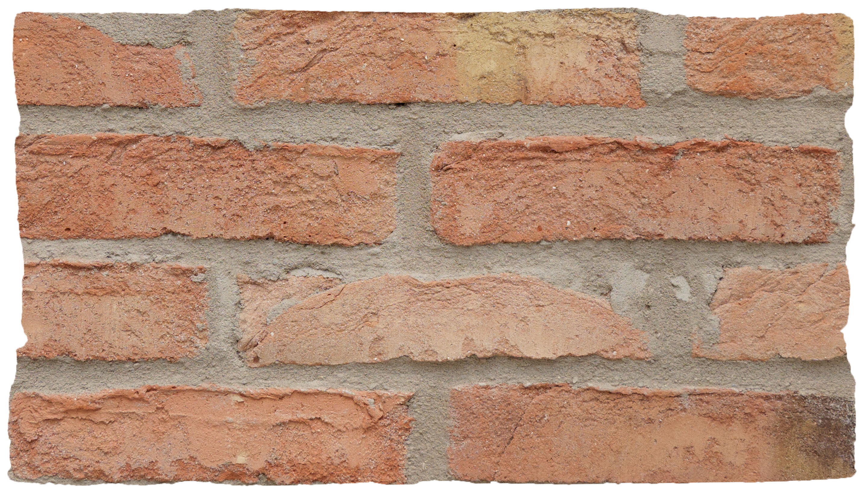 Marktegl Malmö | Willab Garden